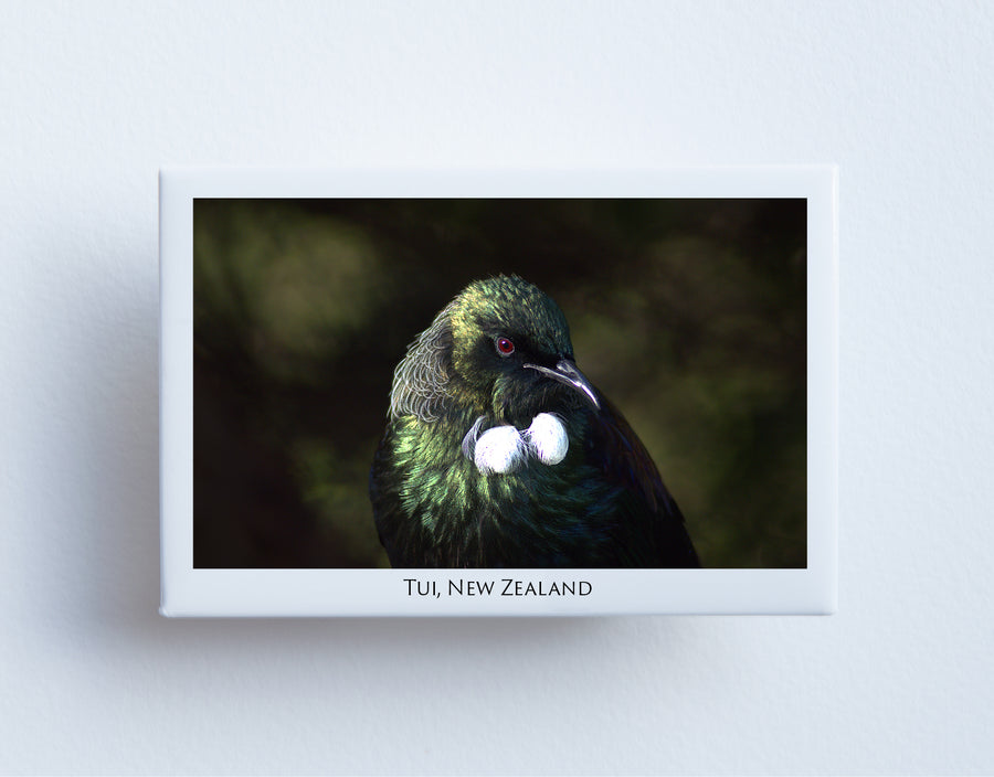 Post Art - New Zealand Postcards