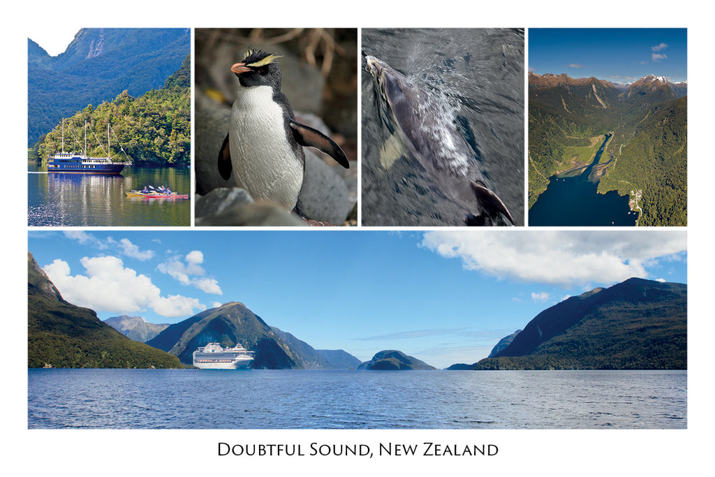 51 - Post Art Postcard - Doubtful Sound